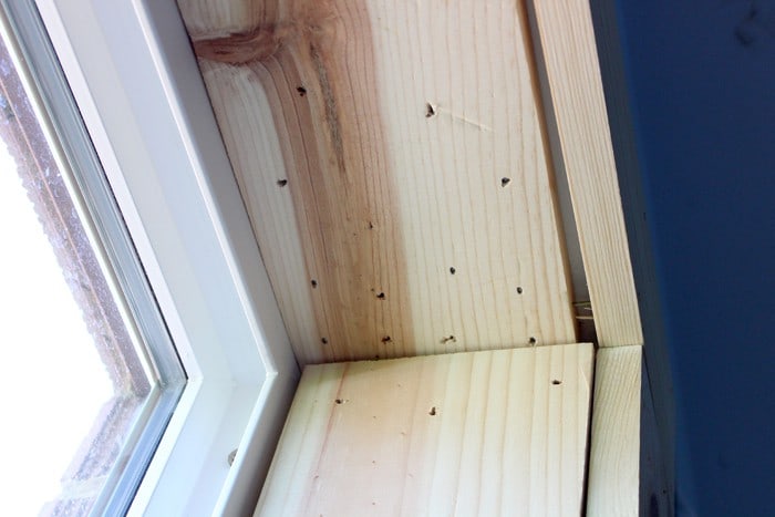 Installing Window Trim