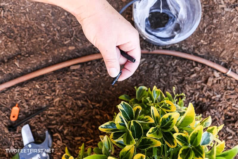 DIY Automatic Watering System for Plants | TwoFeetFirst